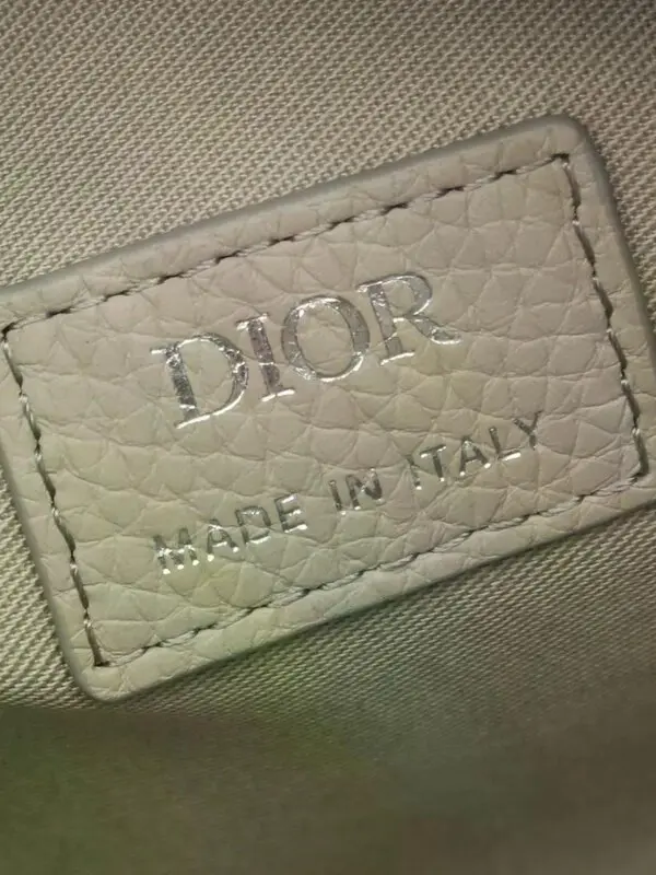 Dior 2010s Gravity Pouch