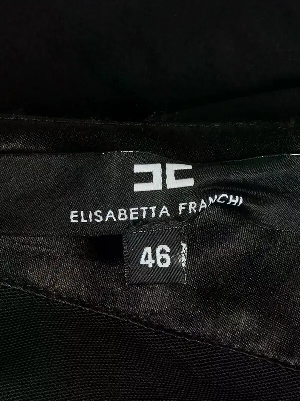 Elisabetta Franchi Semi-sheer-panel Midi Skirt