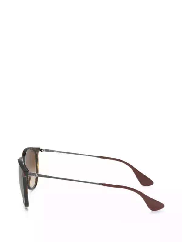 Ray-ban Erika Round-frame Sunglasses