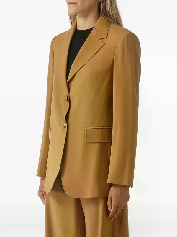 Max Mara Single-breasted Notched-lapel Blazer