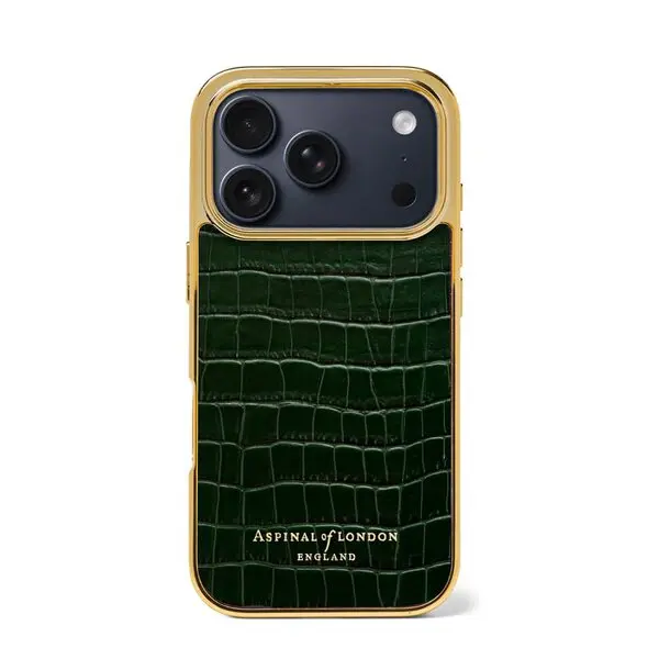 ASPINAL OF LONDON Iphone 18 Pro Case In Pebble - Green