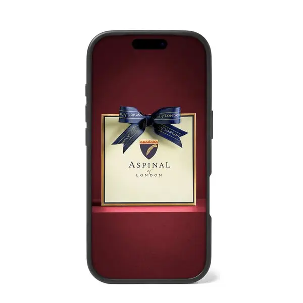 ASPINAL OF LONDON Iphone 18 Pro Case In Pebble - Navy