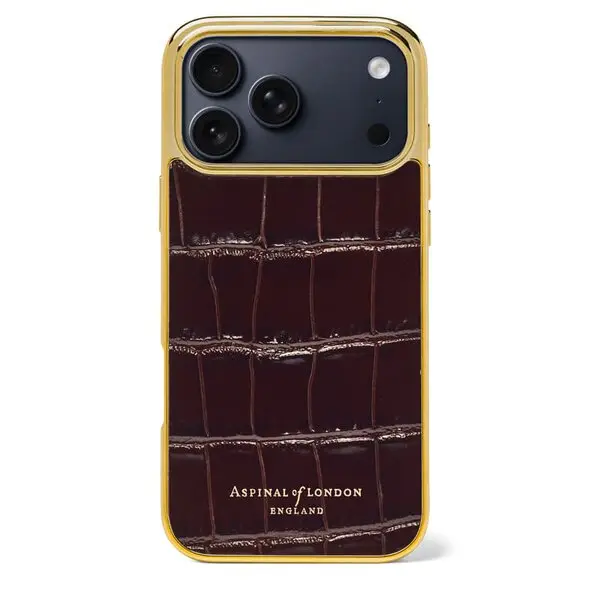 ASPINAL OF LONDON Iphone 18 Pro Max Case In Pebble - Brown