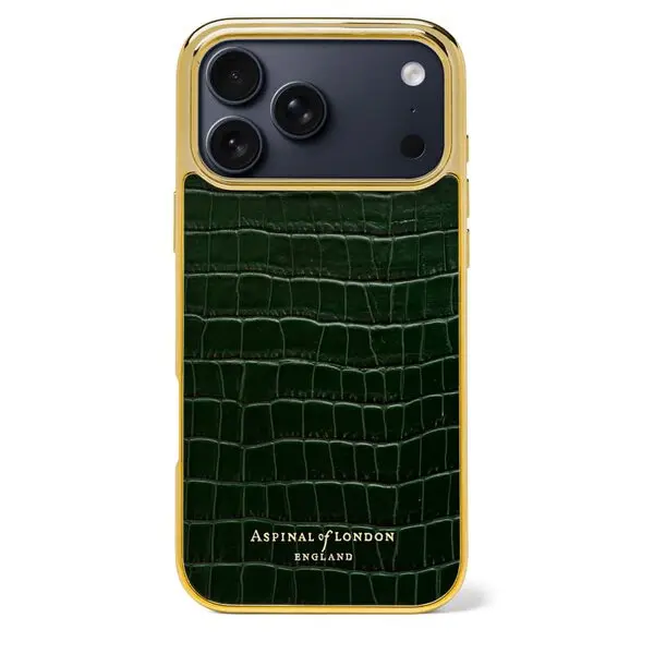 ASPINAL OF LONDON Iphone 18 Pro Max Case In Pebble - Green