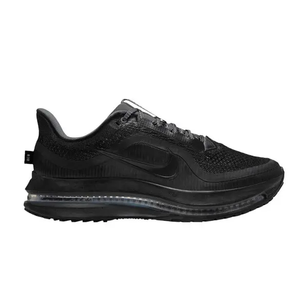 Nike Pegasus Premium 'berlin Marathon