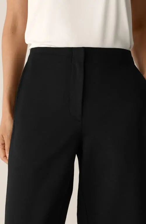 Eileen Fisher Wide Leg Ankle Pants