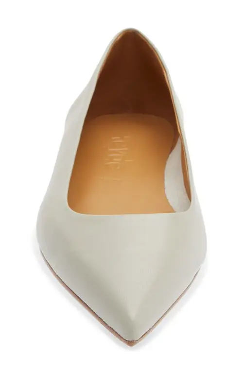 AeydĒ Cassy Pointed Toe Pump