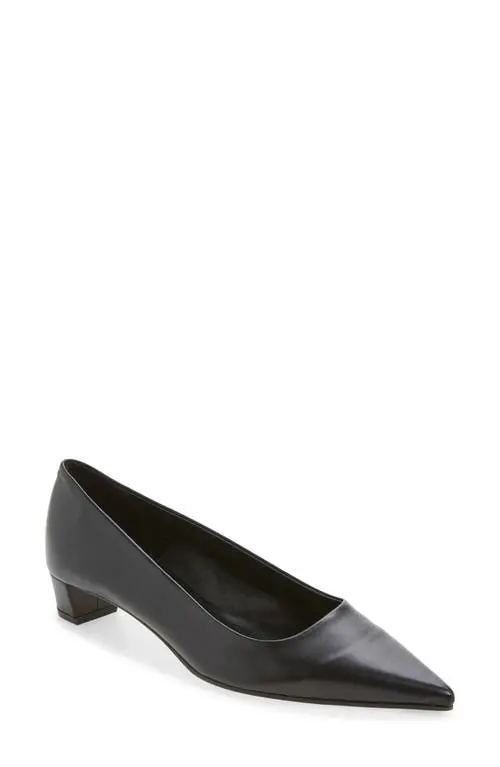 AeydĒ Judi Pointed Toe Pump