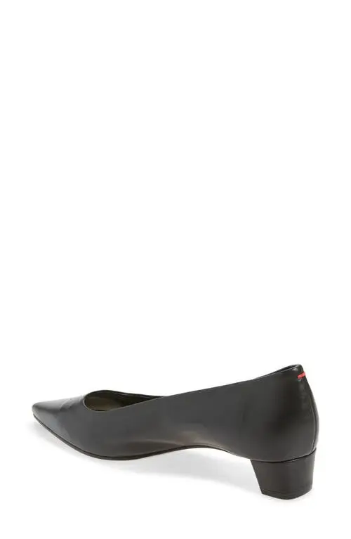 AeydĒ Judi Pointed Toe Pump