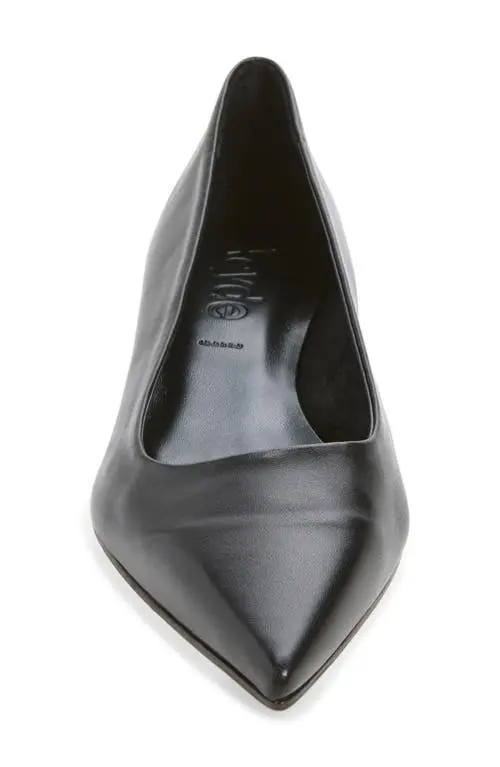 AeydĒ Judi Pointed Toe Pump