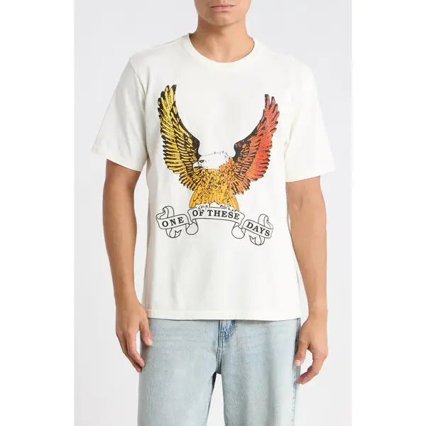 ONE OF THESE DAYS An American Original Graphic T-shirt - Bone