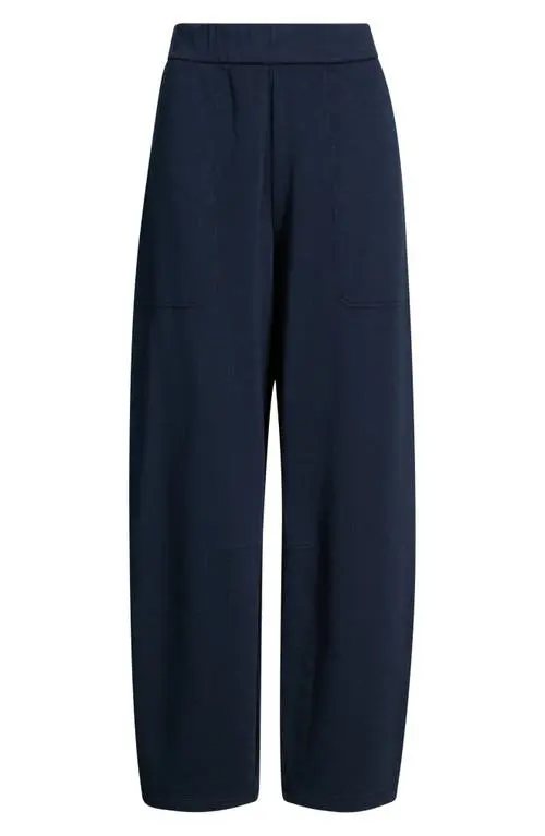 Eileen Fisher Organic Cotton Ankle Arch Pants - Ink
