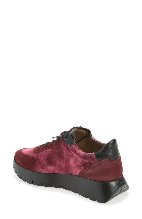 WONDERS Velvet Platform Sneaker - Vino