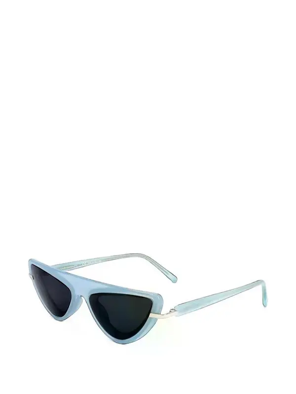Calvin Klein Cat-eye Sunglasses