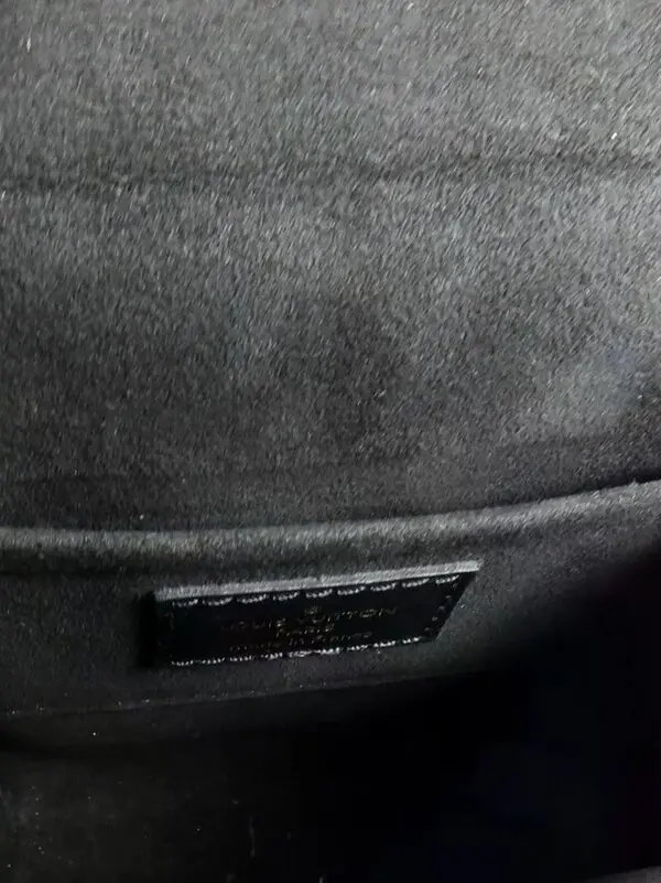 LOUIS VUITTON Camera Box Monogram Tote Bag