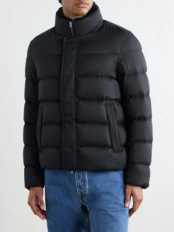 Herno Arendelle Plush-trimmed Quilted Shell Down Jacket