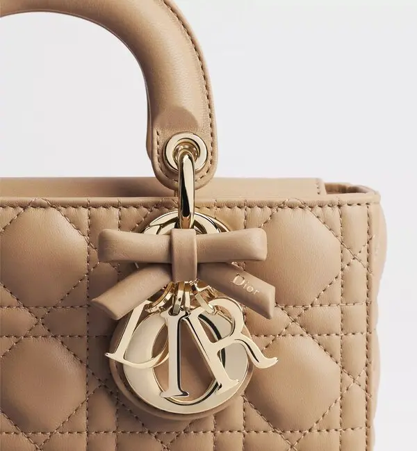 Dior Sac Lady D-joy Small
