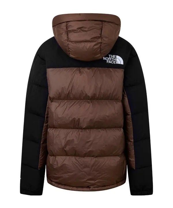 The North Face Colorblock Hooded Down Jacket