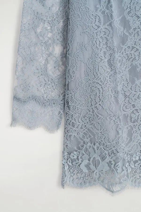 Cos Boat-neck Lace Mini Dress