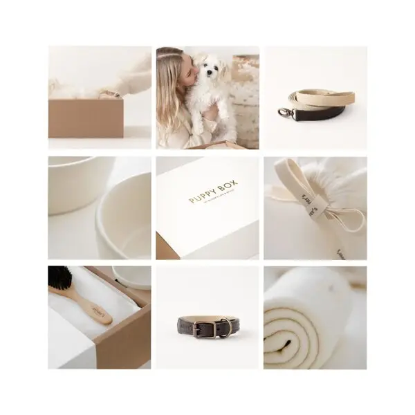 OLIVER'S LIFE & STYLE Neutrals/ Puppy Box Package For Puppies - White