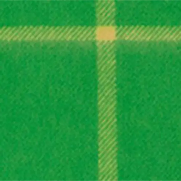 Burberry Cashmere Check Scarf - Green
