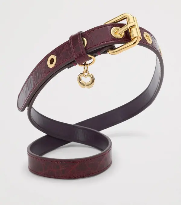 Maje Leather Eyelet Slim Belt