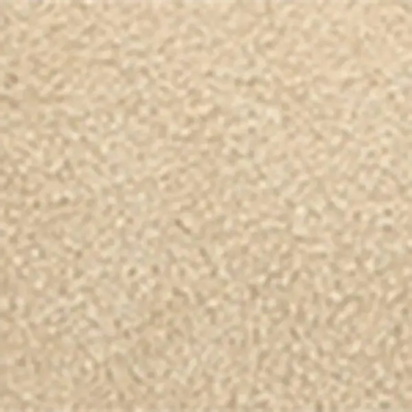 UGG Suede Goldenstar Evelina Clogs