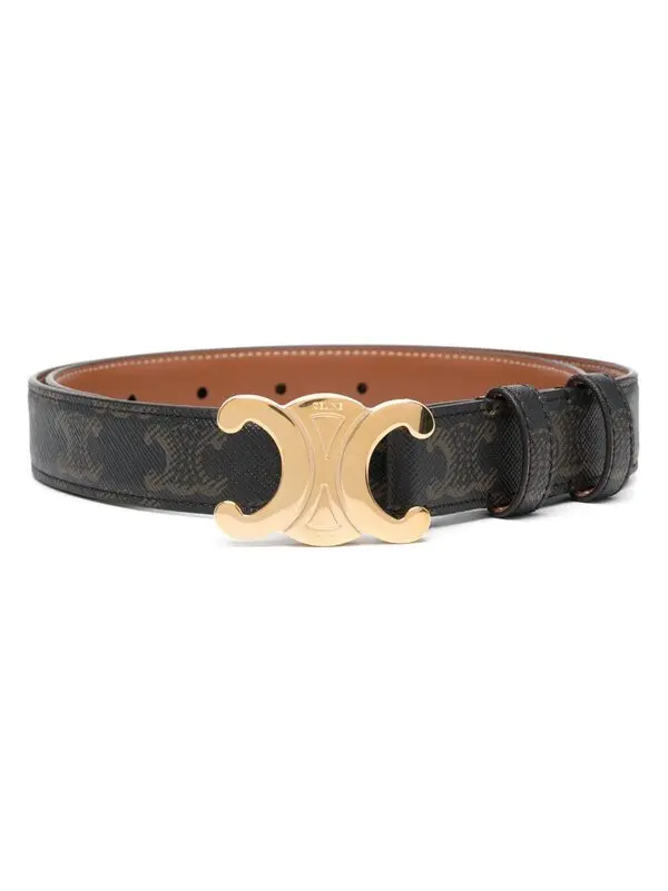 Celine Triomphe Canvas Belt - Multicolor