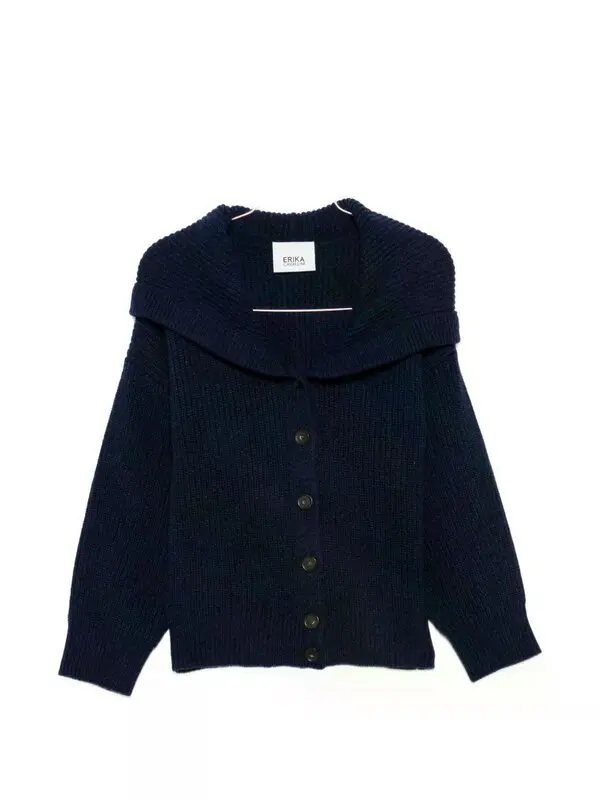 Erika Cavallini Donato Ribbed-knit Hooded Cardigan - Blue