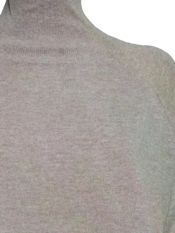Max Mara Raglan-sleeve Roll-neck Sweater