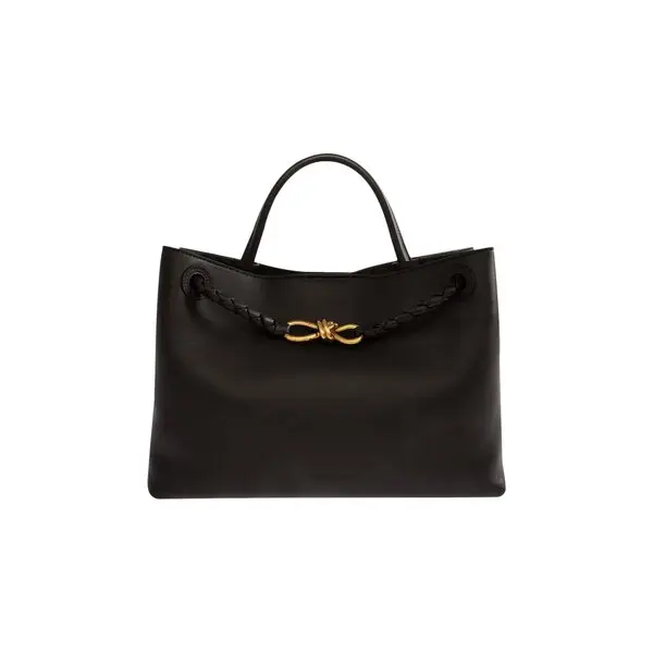 Bottega Veneta Medium Andiamo Bag 'fondant/brass - Brown