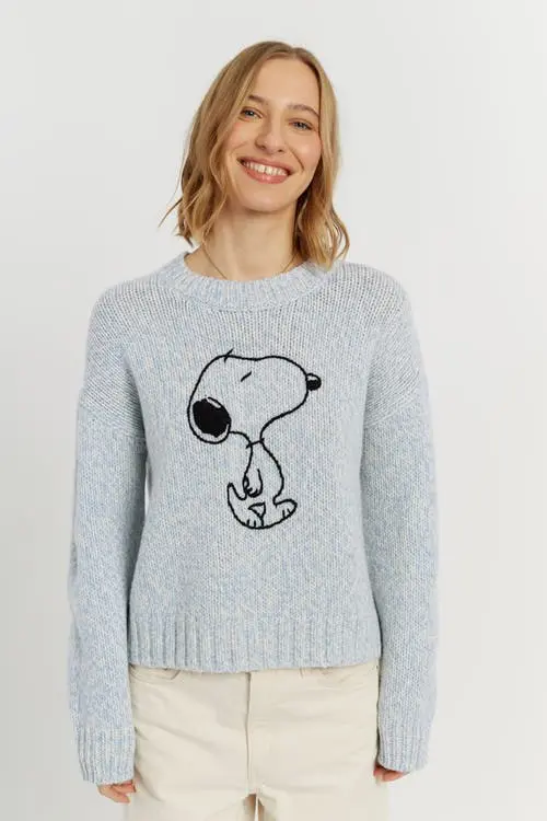 Chinti & Parker Merino Snoopy Marl Sweater - Multi Blue
