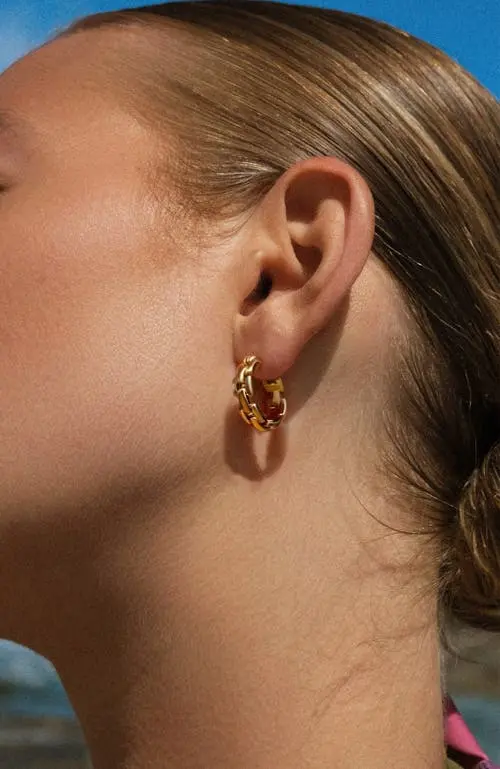 RETRO CHIC Rome Chain Earrings - Gold
