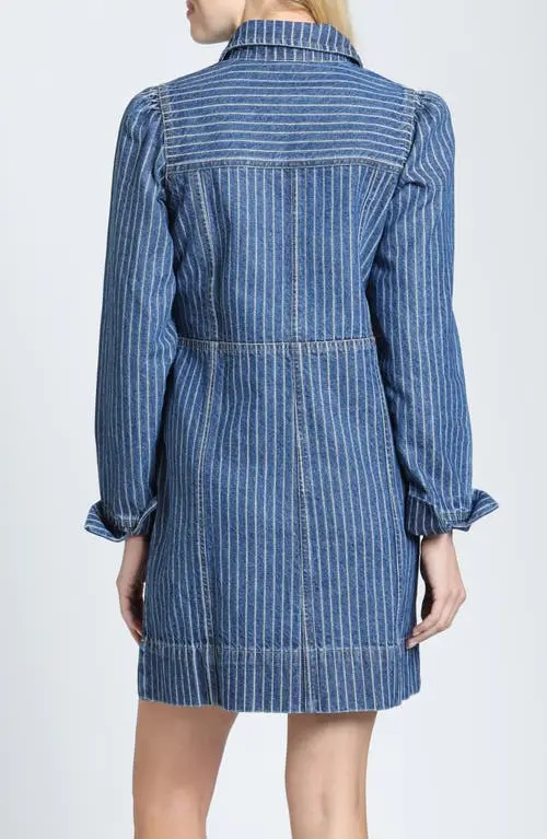 APNY The True Indigo Striped Denim Shift Dress