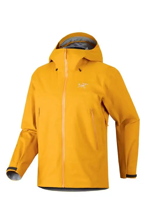 Arc'teryx Beta Sl Gore-tex Hooded Jacket - Nucleus