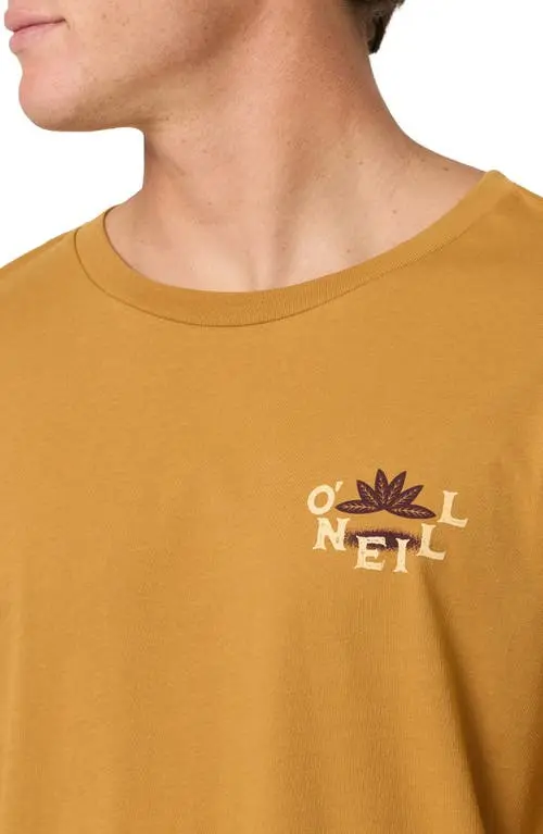 O'Neill El Calafate Long Sleeve Cotton Graphic T-shirt