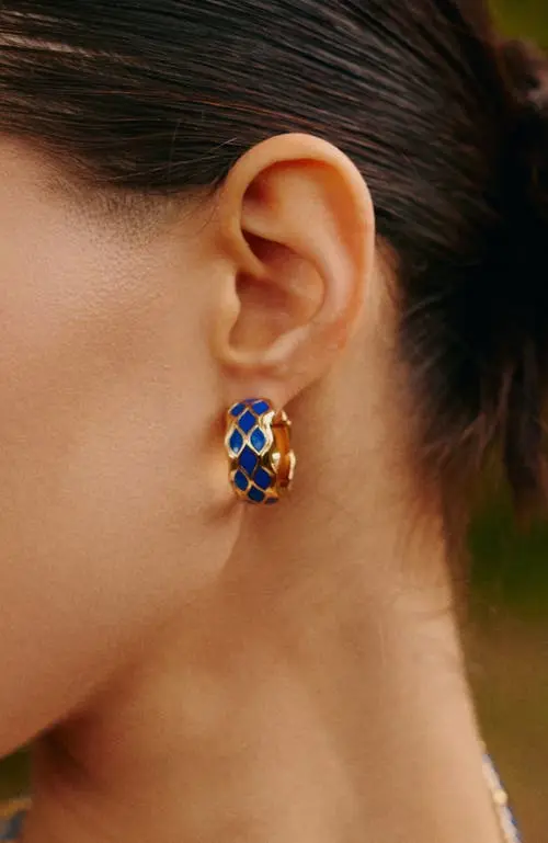 RETRO CHIC Nirah Hoop Earrings