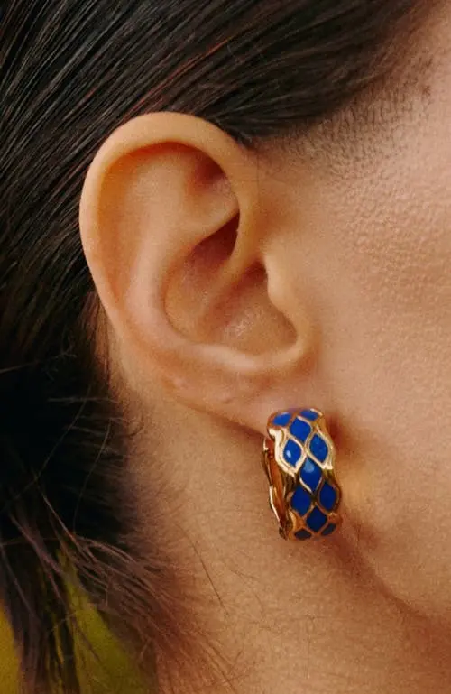 RETRO CHIC Nirah Hoop Earrings