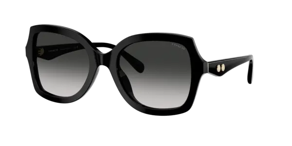COACH Sunglass Cw225 - Grey Gradient