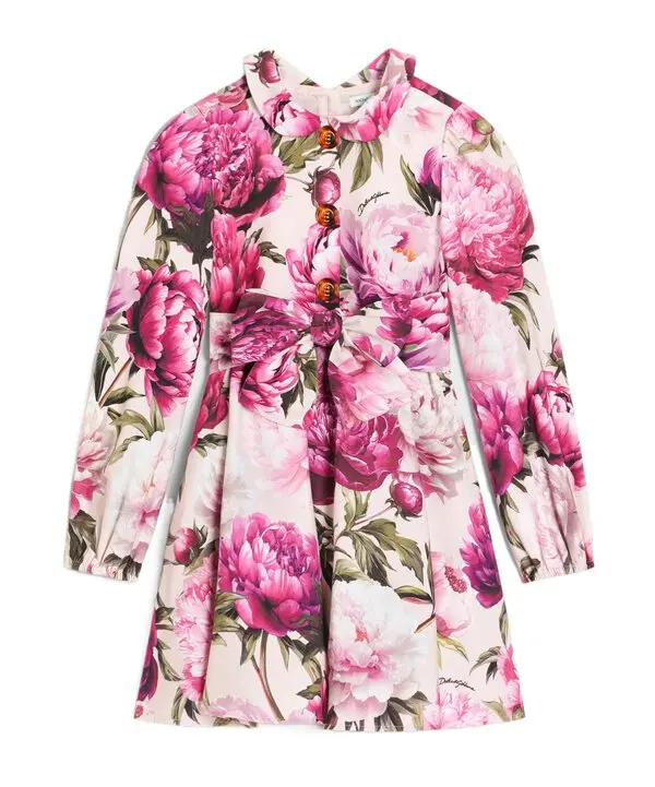 Dolce & Gabbana Floral-print Collared Dress