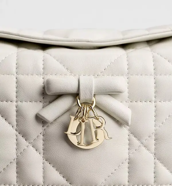 Dior Adiorable Top Handle Mini Bag