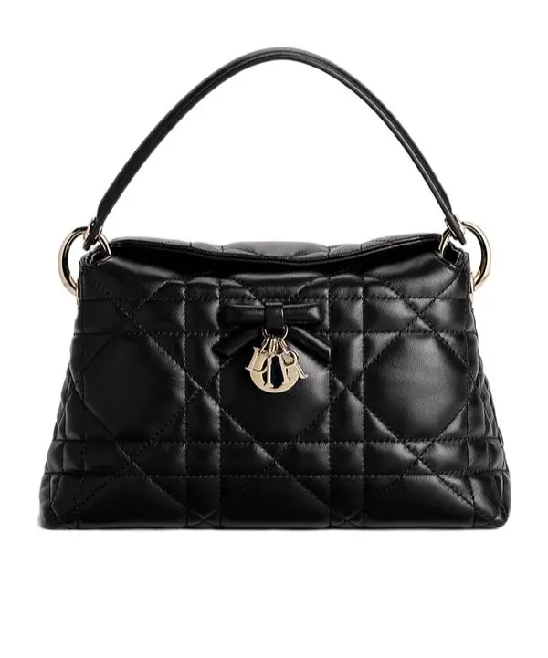 Dior Adiorable Top Handle Mini Bag