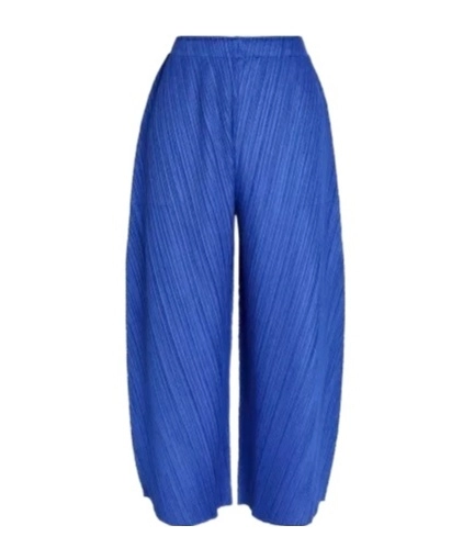 Issey Miyake Pleated Trousers - Blue