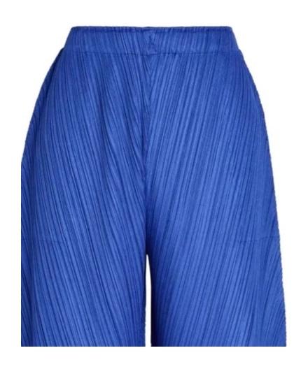 Issey Miyake Pleated Trousers