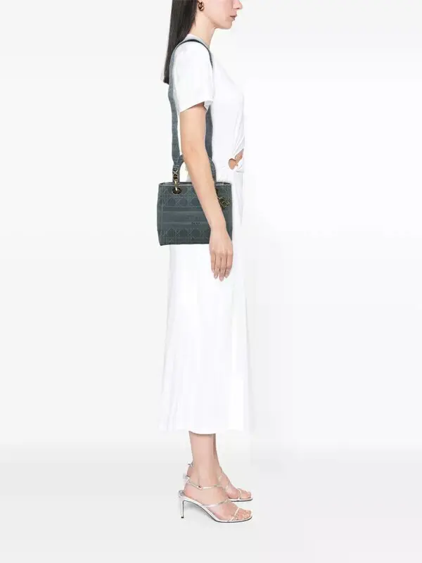 Dior 2020 Medium Embroidered Canvas Cannage Lady D Lite Satchel
