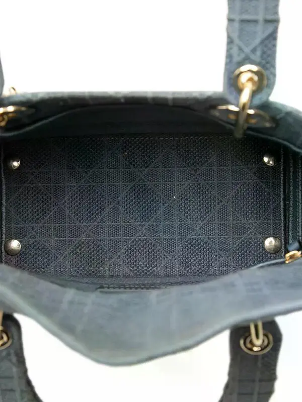 Dior 2020 Medium Embroidered Canvas Cannage Lady D Lite Satchel