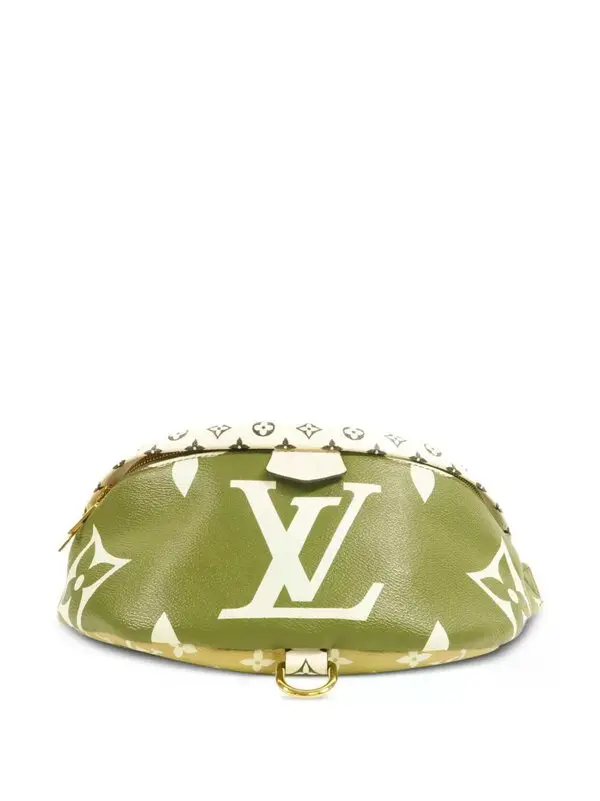 LOUIS VUITTON Giant Monogram Belt Bag