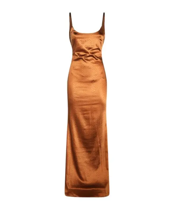 Elisabetta Franchi Bow-back Satin Maxi Dress - Brown