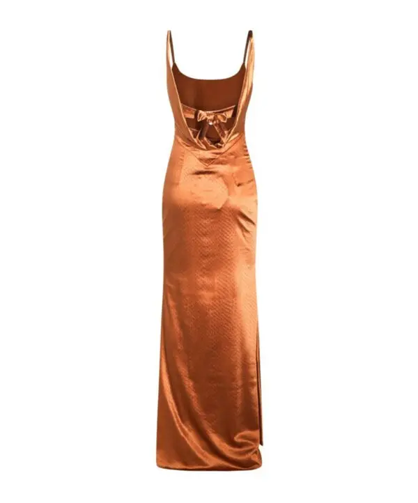 Elisabetta Franchi Bow-back Satin Maxi Dress