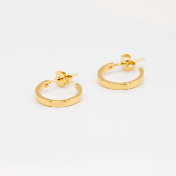 CIER Small Hoops